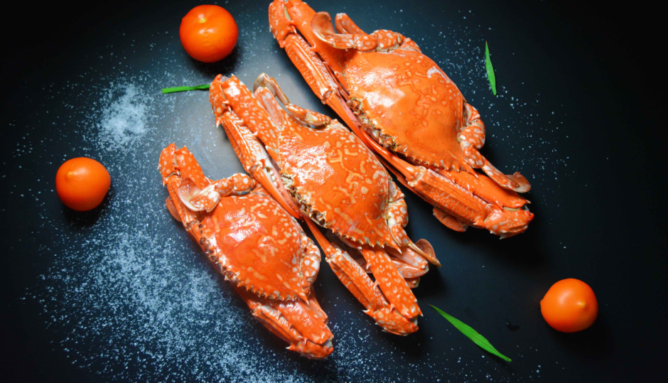 【IUU漁業とは？】持続可能な漁業の未来を考える海洋保護について | Wearth